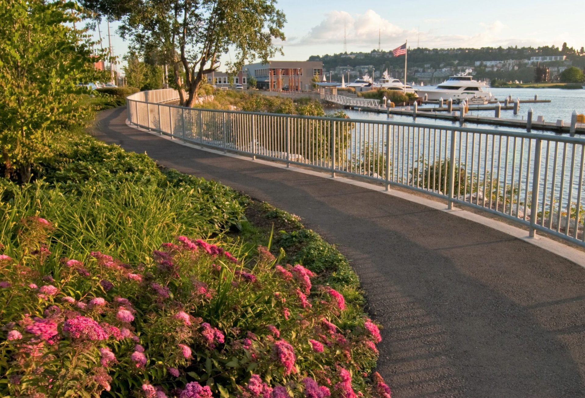 Wards Cove | Brumbaugh Associates Landscape Architecture