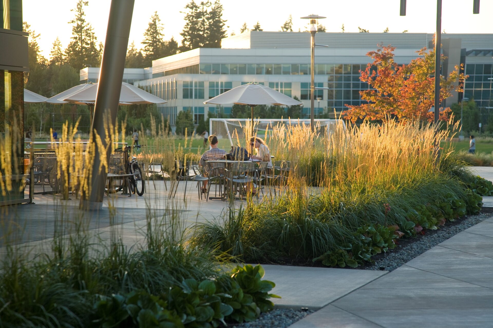 Campus Commons | Brumbaugh Associates Landscape Architecture