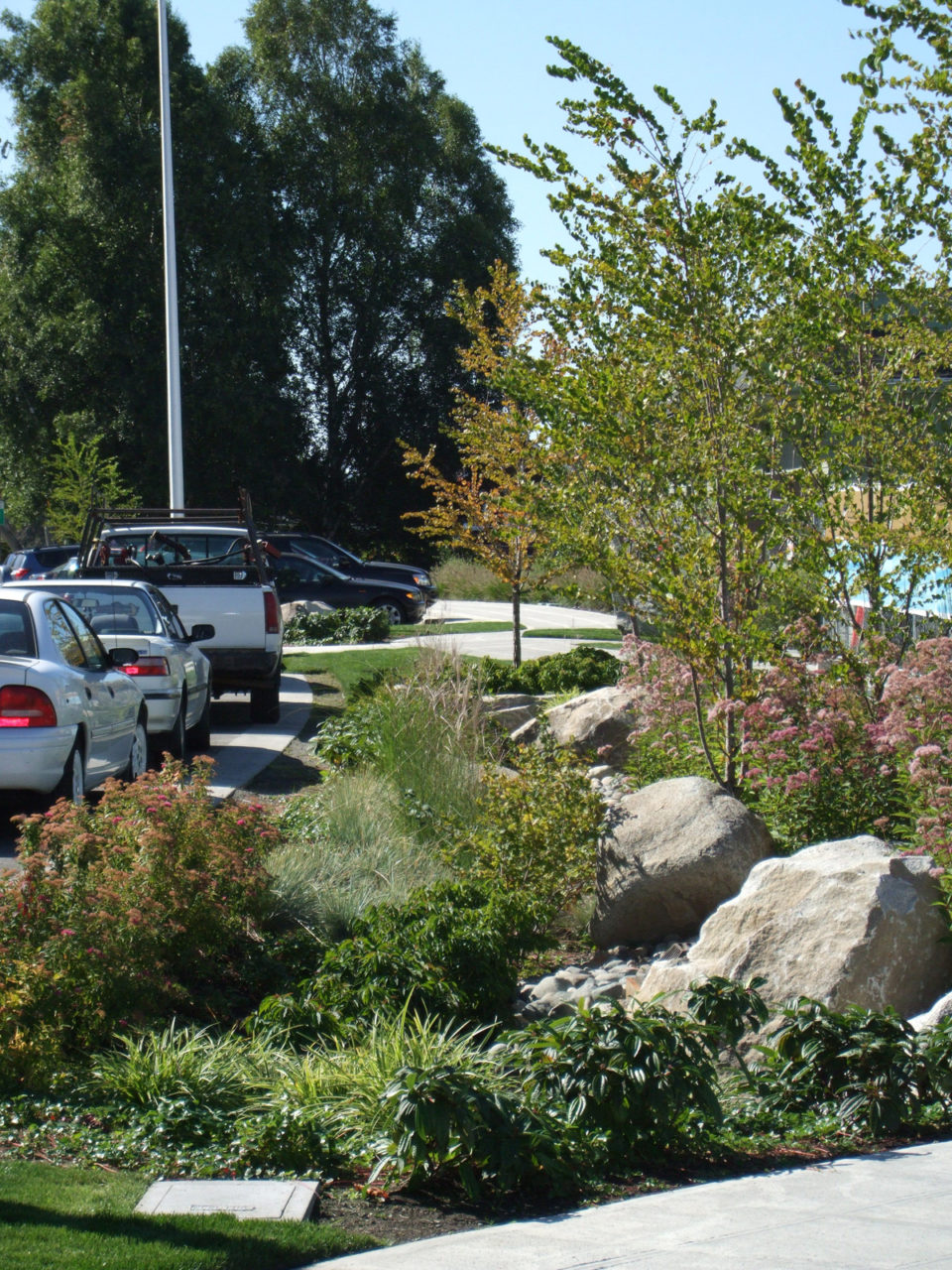 Wards Cove | Brumbaugh Associates Landscape Architecture