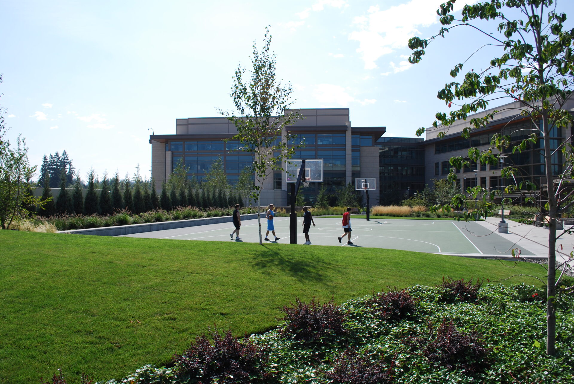 Microsoft Studios West | Brumbaugh Associates Landscape Architecture