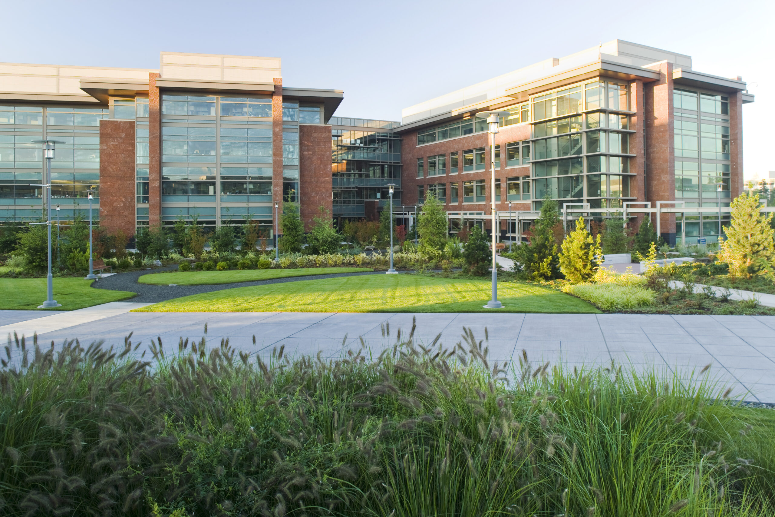 Microsoft Studios West | Brumbaugh Associates Landscape Architecture