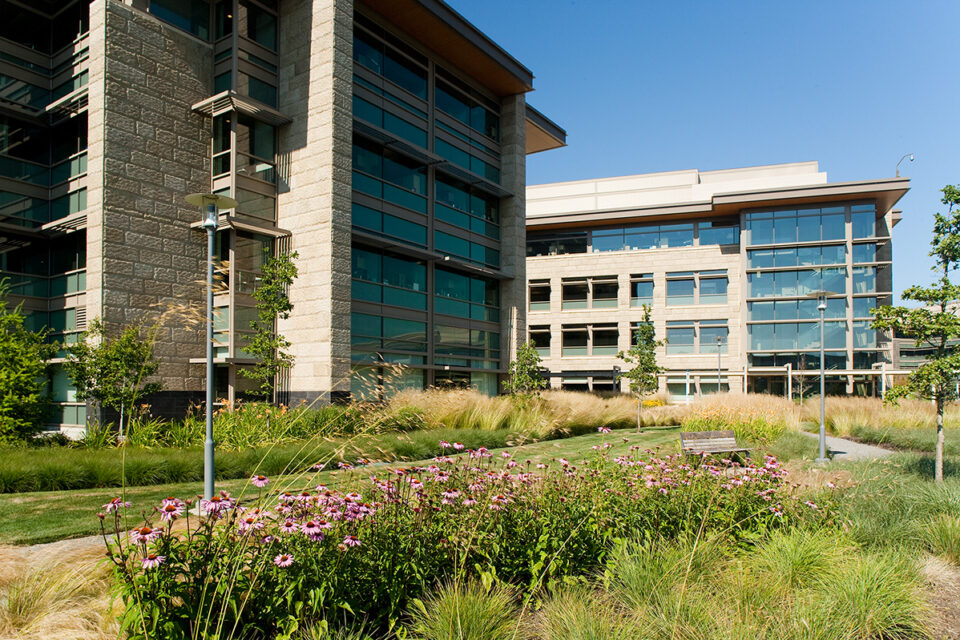Microsoft Studios West | Brumbaugh Associates Landscape Architecture